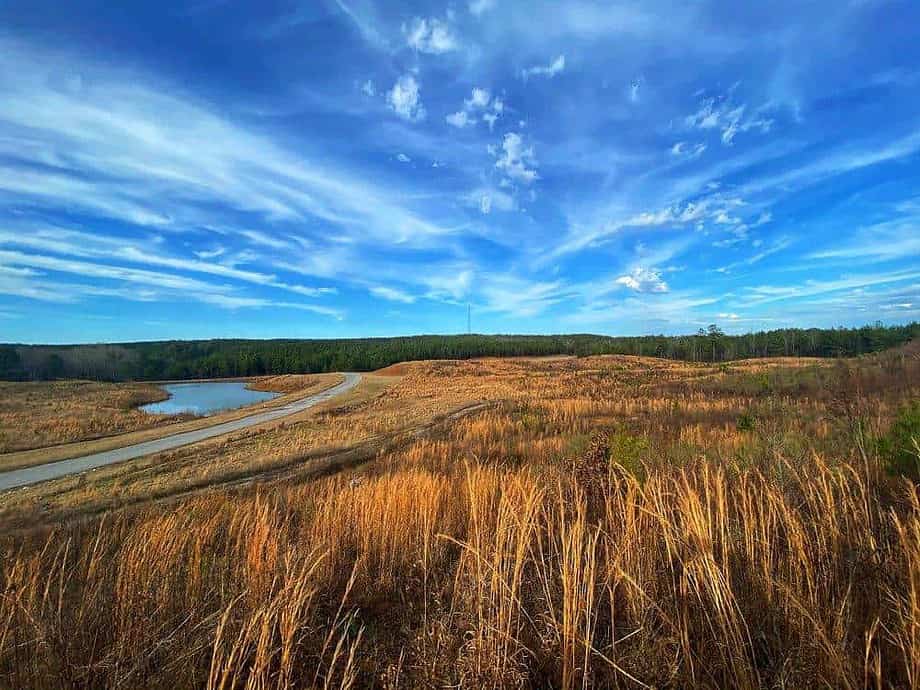 How To Explore Sand Mountain Alabama: A Guide