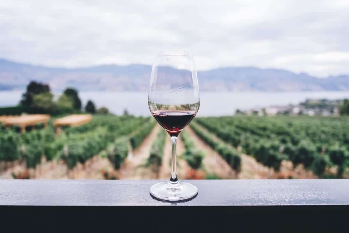 Wine Wonderland: 8 Must-Visit Wineries In NC