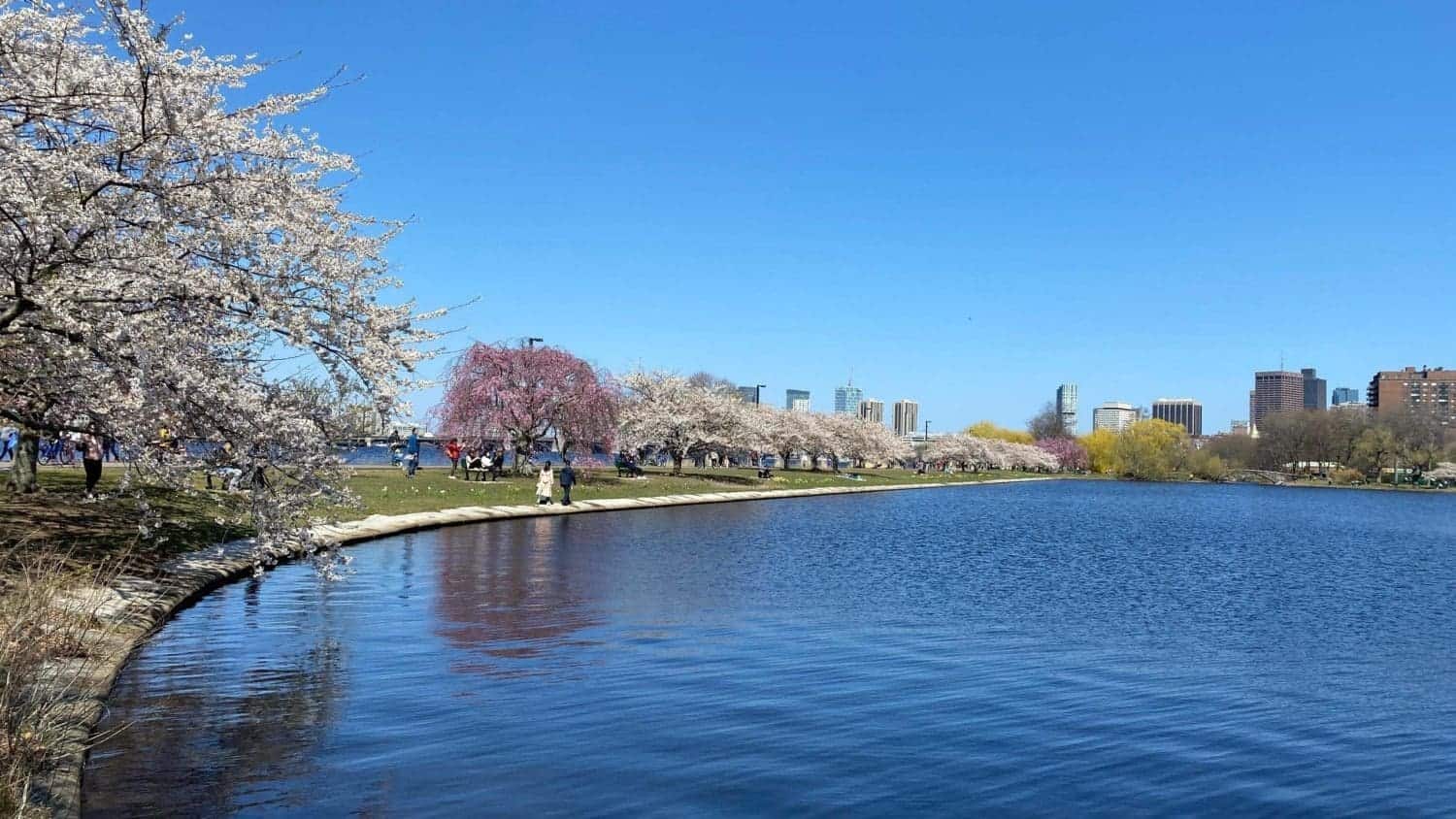 Your Ultimate List Of 9 Boston Beaches To Explore