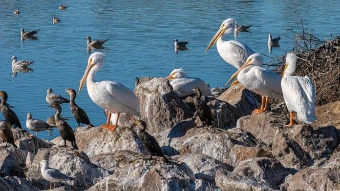 8 Amazing Texas Islands You Need To Know About!