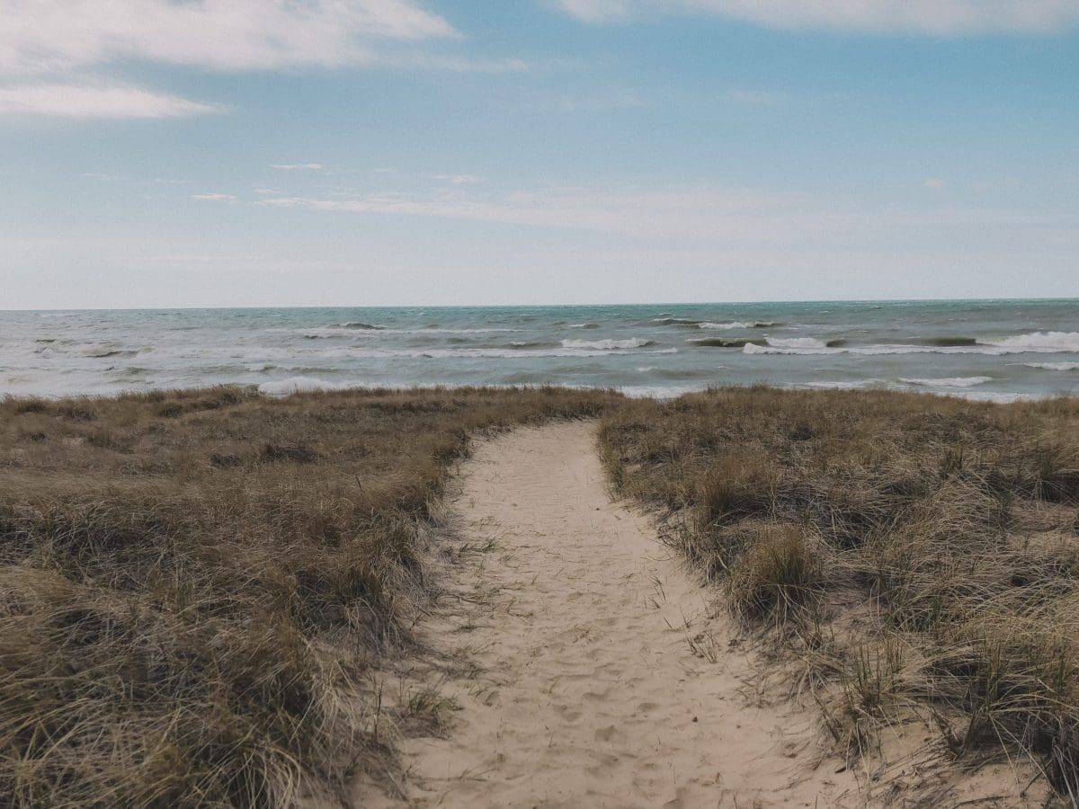 Exploring The Majestic Lake Michigan Sand Dunes