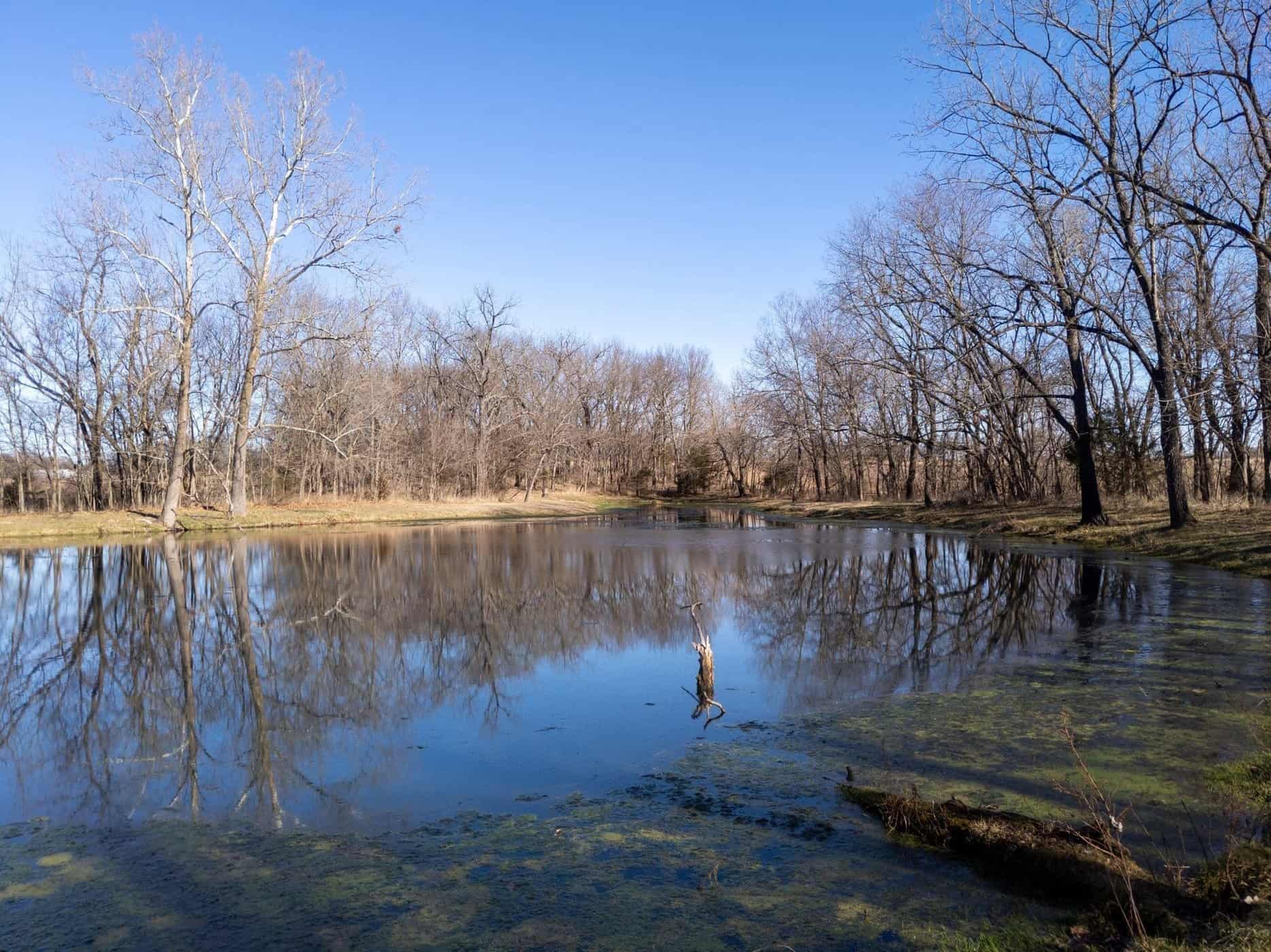 Top 12 National Parks In Missouri For Nature Lovers