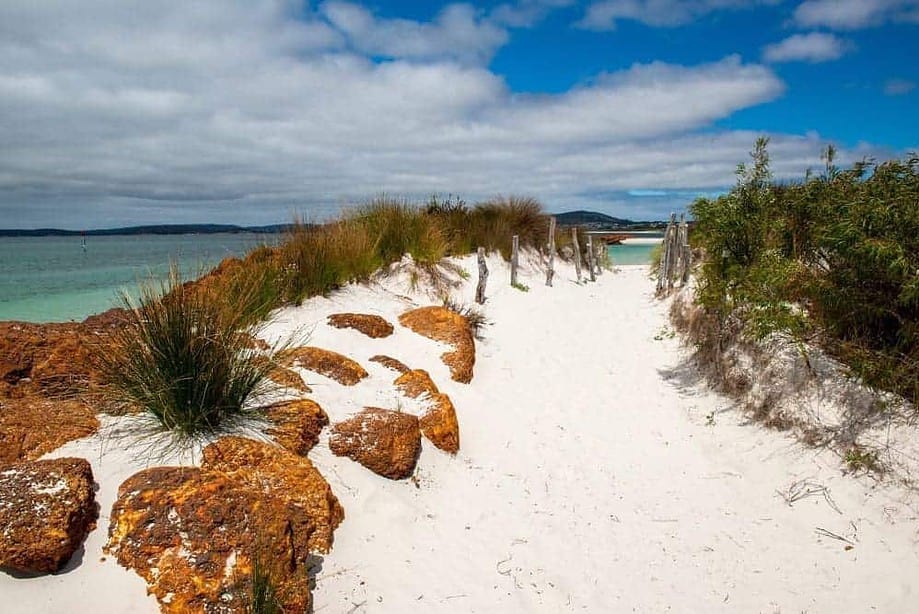 Discovering Edisto Beach State Park: 5 Must-Know Facts