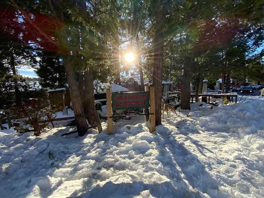 16 Best Idyllwild Hiking Trails For Adventure Enthusiasts
