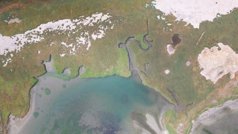 Washington State Islands: 11 Beautiful Islands To Travel