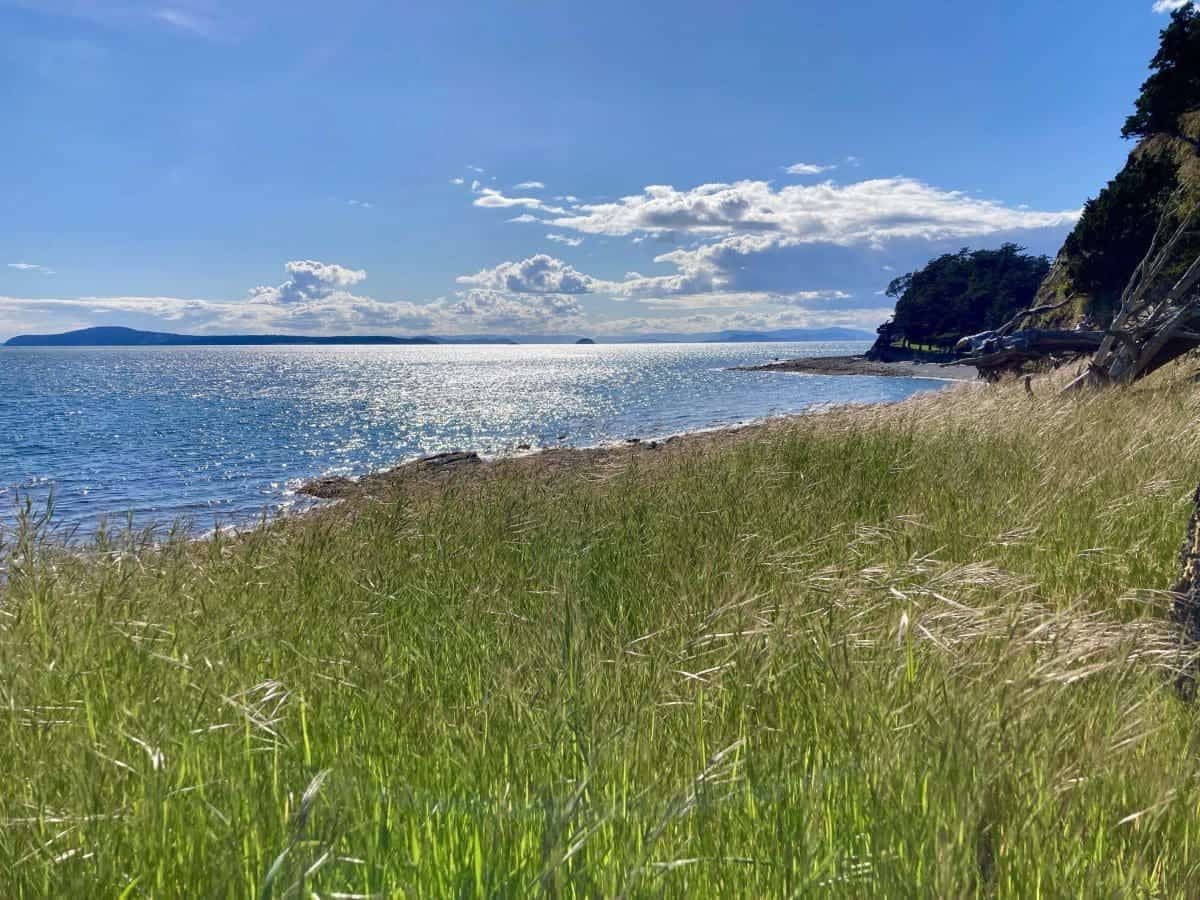 Washington State Islands: 11 Beautiful Islands To Travel