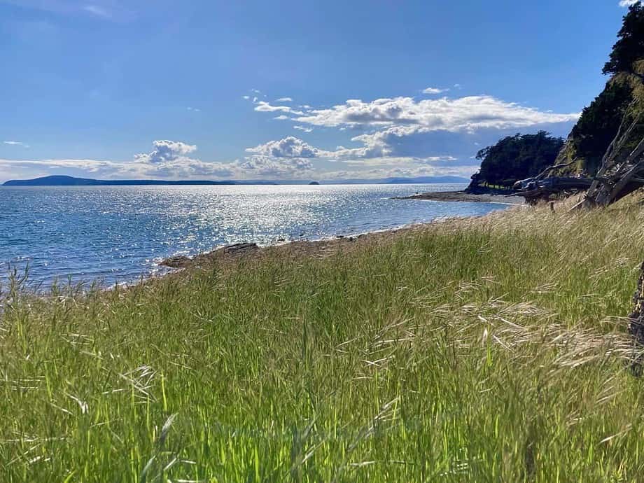 Washington State Islands: 11 Beautiful Islands To Travel