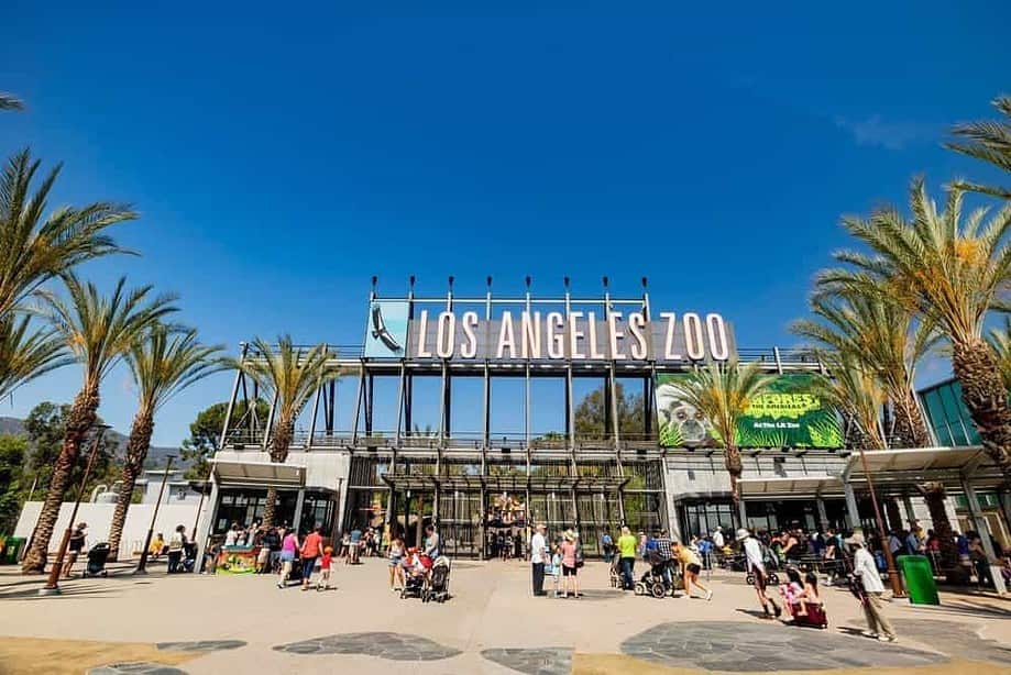 15 Biggest Zoos In The US: Explore These Best Zoos