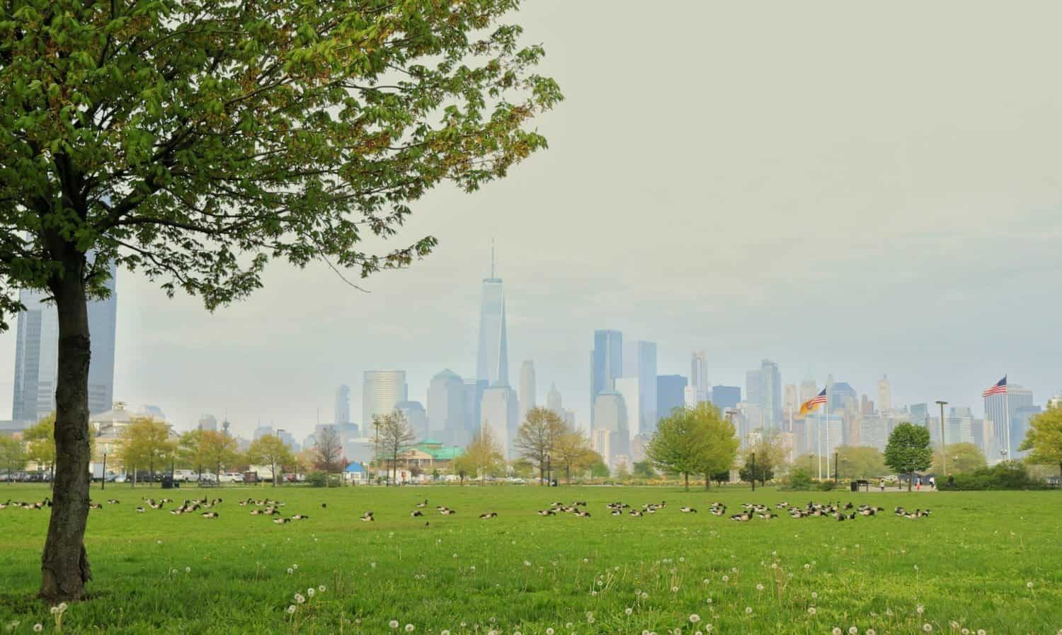 Worcester's Nature Oasis: 6 Parks For Serene Escapes!