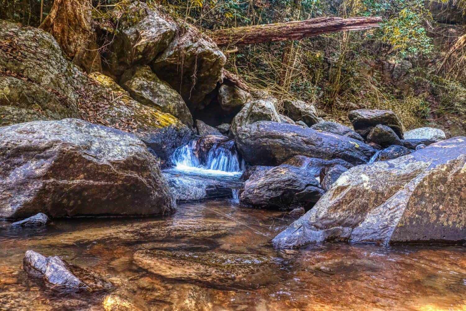 10 Most Beautiful Shenandoah National Park Waterfalls