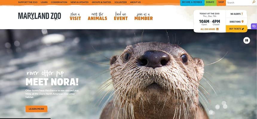 The Maryland Zoo In Baltimore: A Tourist's Guide